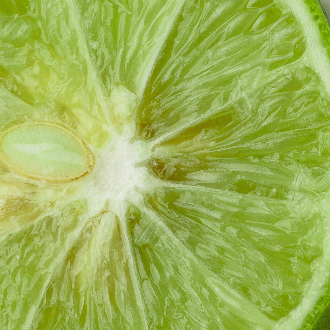 Frozen Yogurt with Lime and Antésite: Tangy Freshness
