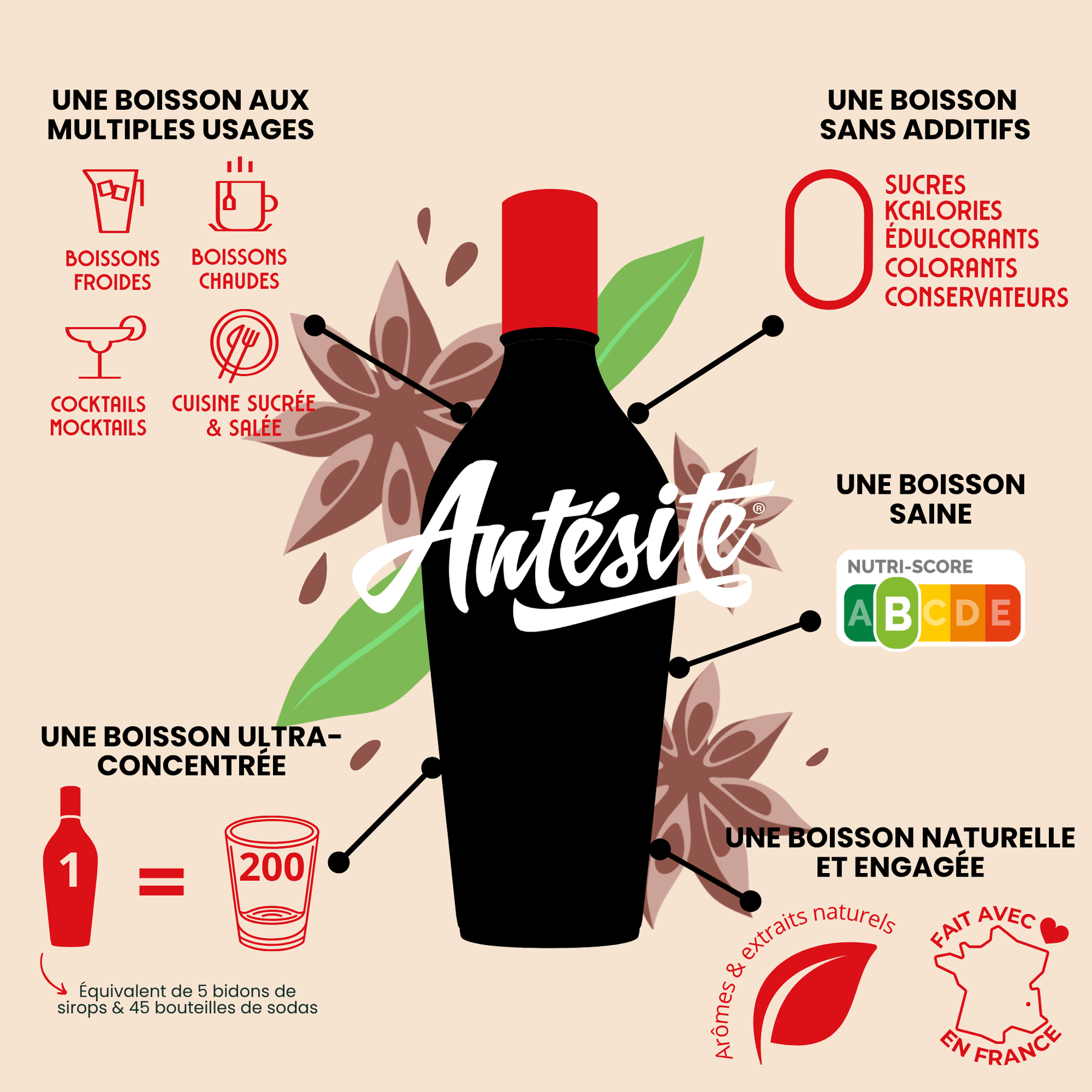 Ultra-concentré Réglisse Anis - Concentrés Antésite